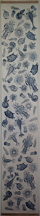 Zoo plankton of the Great Barrier Reef banner | FireWorks Gallery